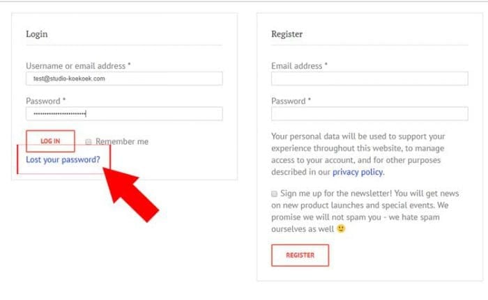 Contact information Studio Koekoek