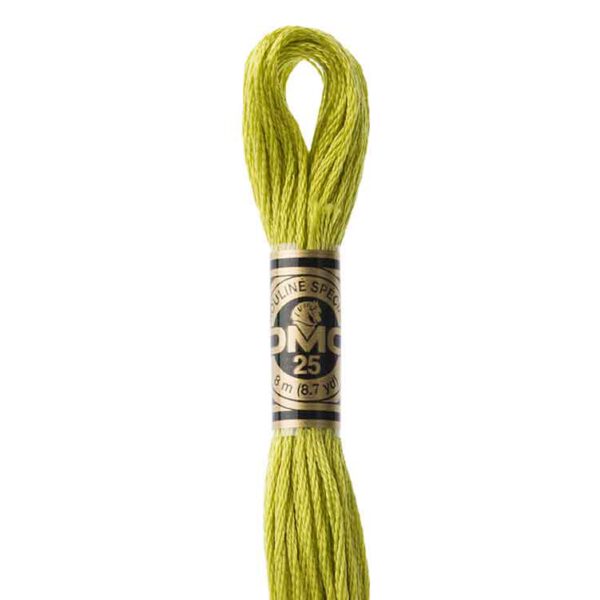 DMC 166 - Embroidery Floss Skein 8m - Studio Koekoek | sustainable ...