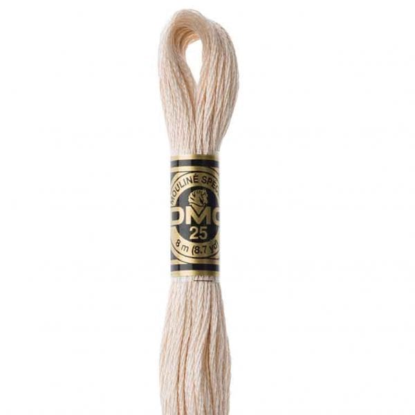 DMC 543 - Embroidery Floss Skein 8m - Studio Koekoek | sustainable ...